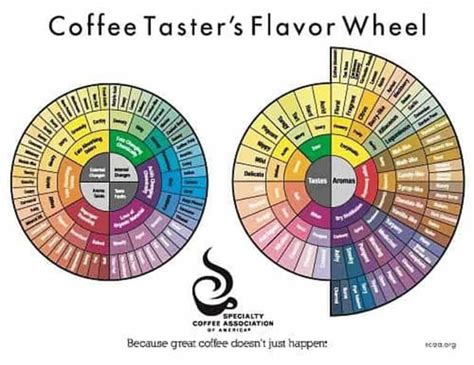 244 Delicious Words To Describe Coffee Adjectives For Coffee Lovers