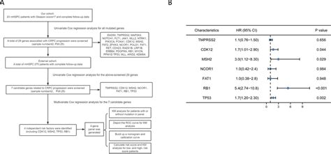 The Flowchart Of Screening Genetic Mutations Associated With Crpc Free Download Scientific