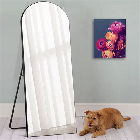 Modern Standing Mirror