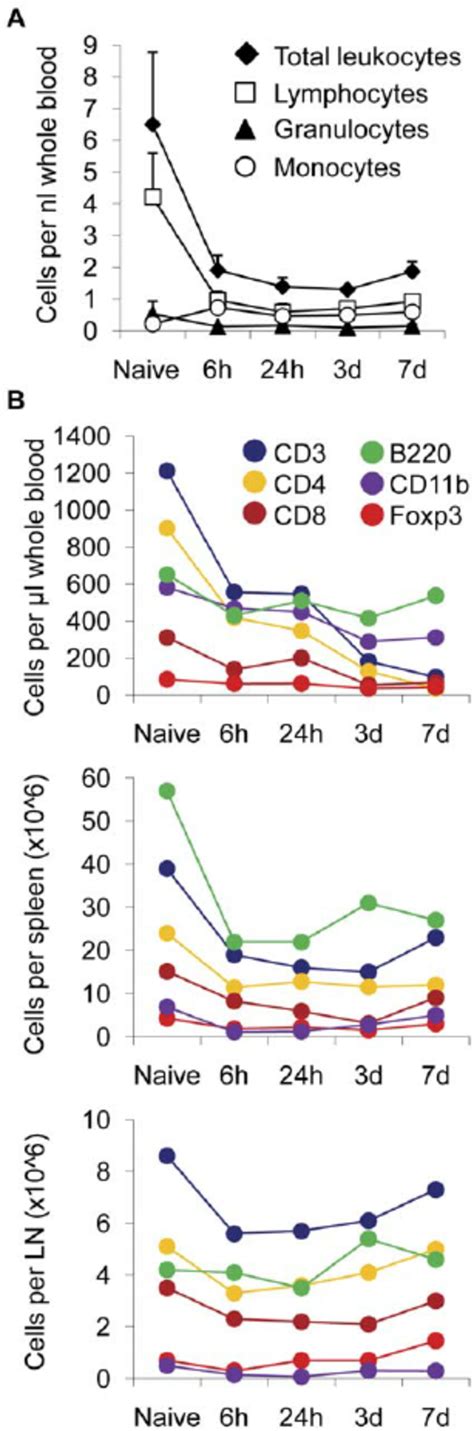 Differential Leukopenia At Ron Gerald Blog