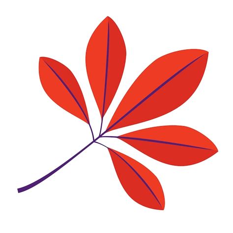 Premium Vector Chestnut Leaf Red