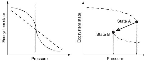 Conceptual Diagram Showing Possible Ecosystem Responses To