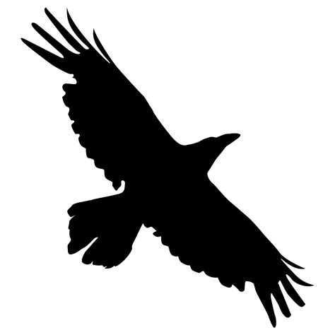 Download Free Photo Of Crowbirdflyingisolatedisolated White From