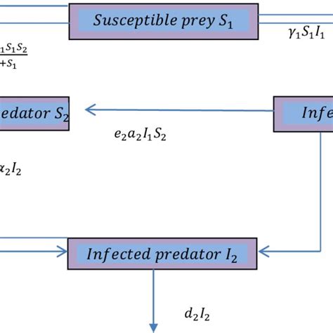 Pdf A Qualitative Study Of An Eco Epidemiological Model With Si