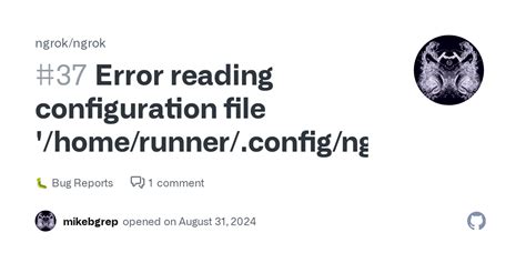 Error Reading Configuration File Homerunnerconfigngrokngrokyml