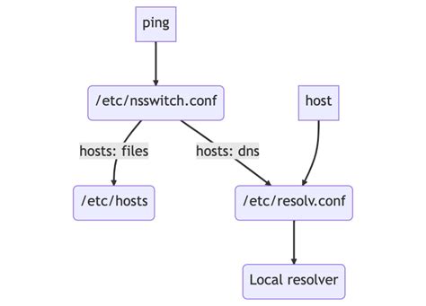Linux Dns 解析的真相 Lichi Blog Linux Dns 解析的真相 Lichi Blog