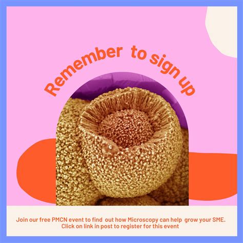 Microscopy Event Universityofplymouth Composites Structural