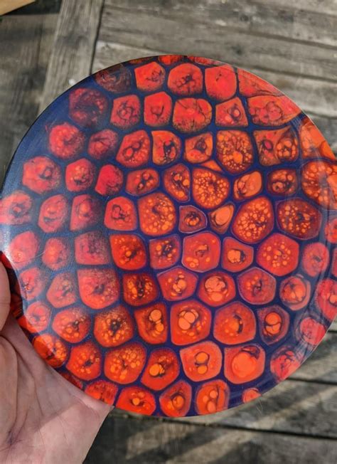 First Cell Dye Rdiscdyeing