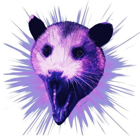 Purple Possum Screaming By Purplelism Possum Purple Purple Fashion
