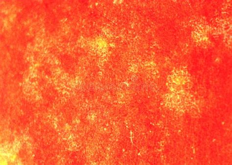 Apple Fruit Food Image Under The Microscope Micro Photography