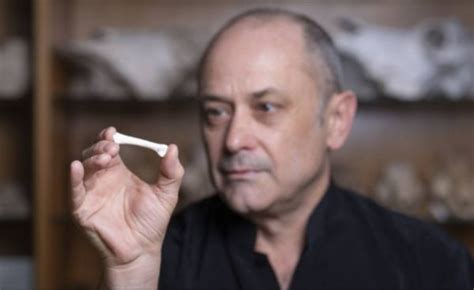 New Mini Human Discovered Wordlesstech