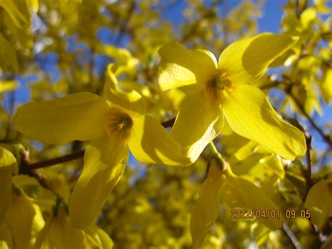 虚构故事《景门》最优质的：人类／鹿类 知乎