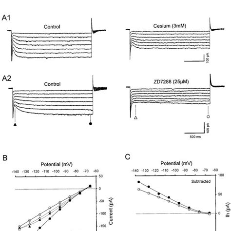 Effects Of Extracellularly Applied Cesium 3 Mm And Z D 7288 25 M On