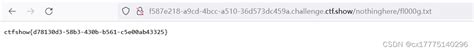 Ctfshow Web入门全部答案 信息收集【后续持续更新中】ctfshow Web入门答案 Csdn博客