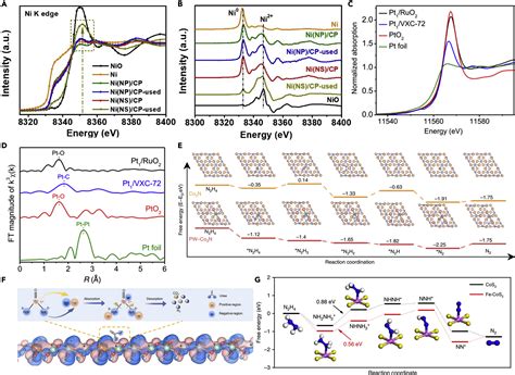Design Principle Of Electrocatalysts For The Electrooxidation Of Organics Chem