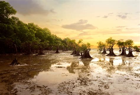 Guide To Walakiri Beach East Sumba Backindo