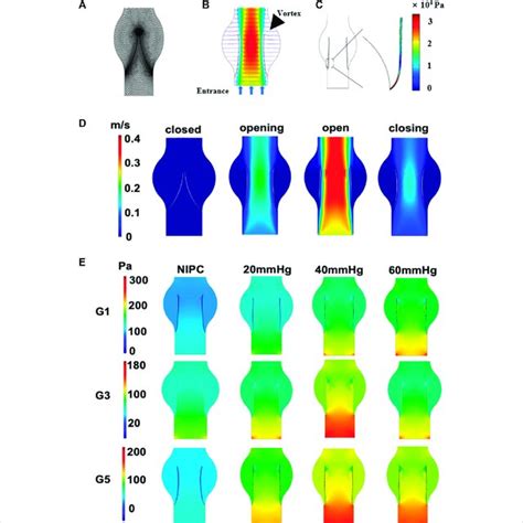 Contour Maps Illustrating Pressure And Velocity Derived From Cfd
