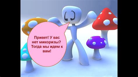 Что такое микориза, для чего она нужна и где ее взять? - YouTube