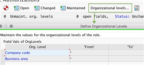 What Is The Meaning Of In An Authorization Field Sap Community