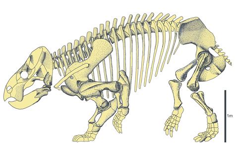 Species New To Science Paleontology • 2019 Lisowicia Bojani • An