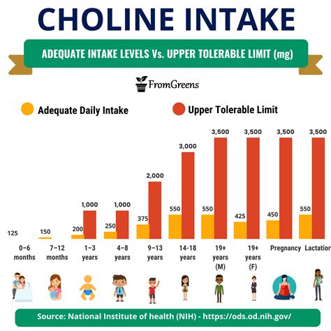 Choline Daily Intake Nutrition Chart