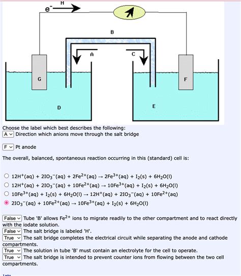 Solved please help i dont know whats wrong | Chegg.com