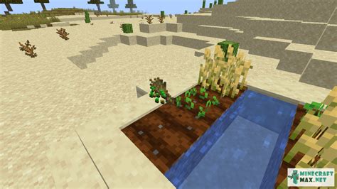 Wheat How To Craft Wheat In Minecraft Minecraft Wiki