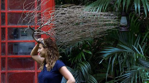 In Pictures The Jungle Fashion Pack Im A Celebrity… Get Me Out Of Here