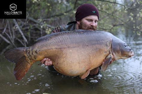 Max Attract Baits Added A New Photo Max Attract Baits