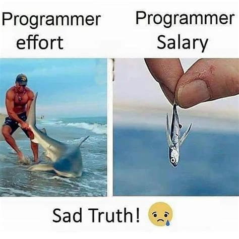 Verified Profiled On Linkedin Programmers Programmer Developerlife