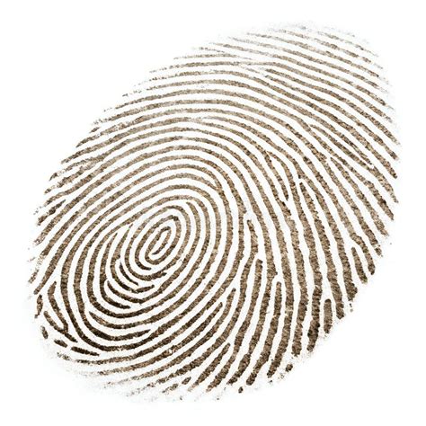 Abstract Fingerprint Texture Stock Illustration Illustration Of