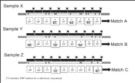Figure 22 From Development And Forensic Application Of Dye Probe