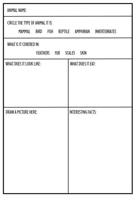 Toys Toys And Games Learning And School Classifying Animals Research Templates For Comparing And Toys Toys And Games Learning And School Classifying Animals Research Templates For Comparing And