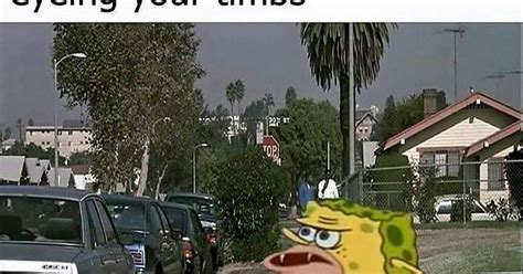 Spongegar Dump Enjoy D Album On Imgur