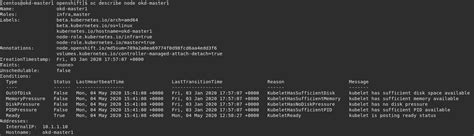 lab 1 1 install and configure cis in nodeport mode