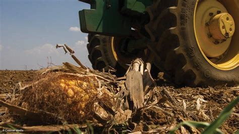 Gdp Decreased By 0 1 In The First Quarter Ayanda Dakela Emba Italy