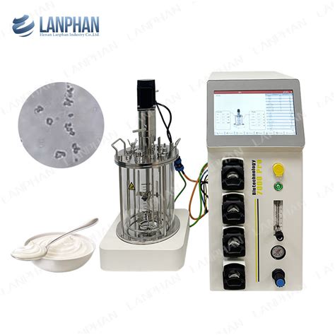 Mini Microbial Bacteria Fermenter Bioreactor 1l Lab Fermenter