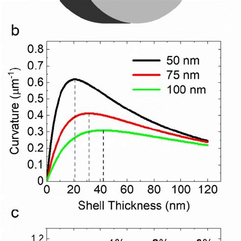 A Schematic Representation Of The Nanowire Core Shell Cross Section