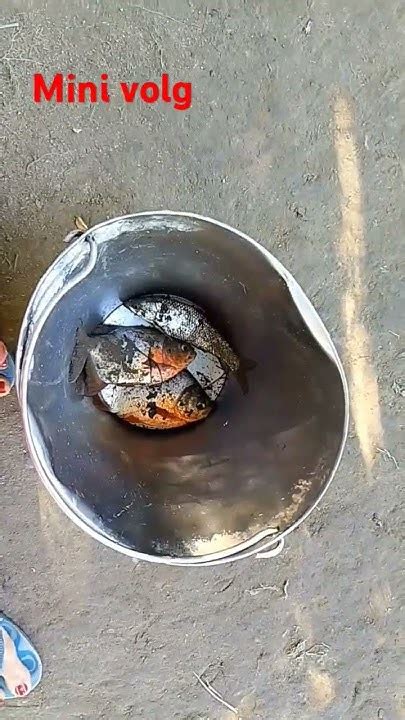 Minivlog Thander Thandar Youtube