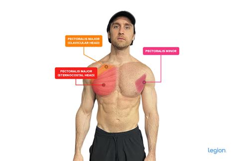 The Best Chest Workouts At Home For Pec Size And Strength