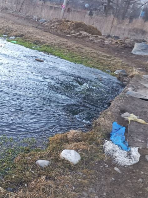 გარემოს დაბინძურება წყლის დაბინძურება