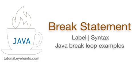 Java Break Statement Label Java Break For Loop Example Eyehunts