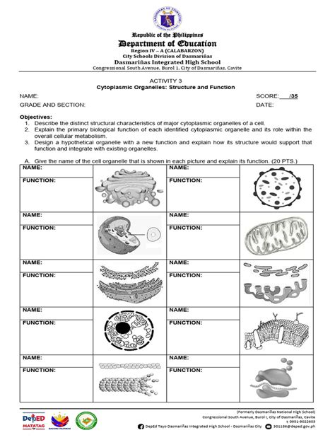 Pt 3 Cytoplasmic Organelles Structure And Function Pdf Lysosome