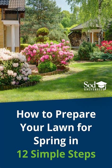 How To Prepare My Lawn For Spring At Lara Frary Blog