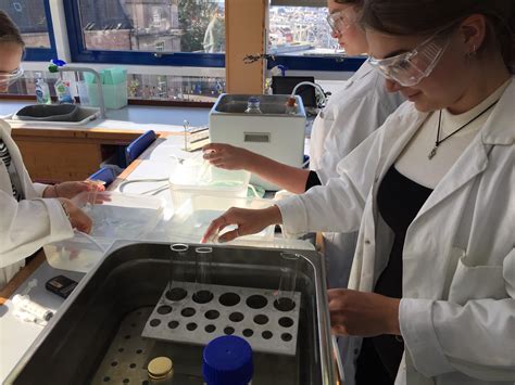 The Sequencing Of A Level Enzyme Practical Lessons Chat Biology
