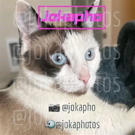 Joka Pho Youtube
