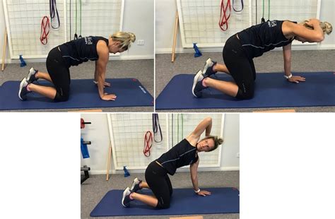 Quadruped Rotation Stretch