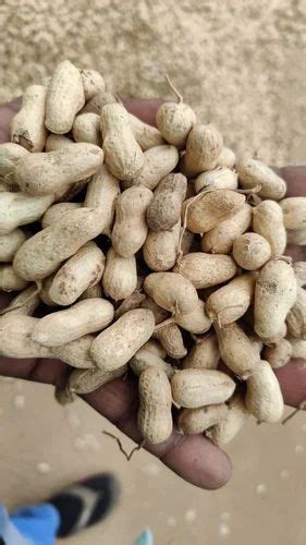 Groundnut Shells Shelled Ground Nuts Packaging Size 40 Kg Packaging