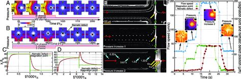 Cross Talk Between Topological Defects In Different Fields A Download Scientific Diagram
