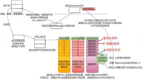 Linux进程信号 Csdn博客